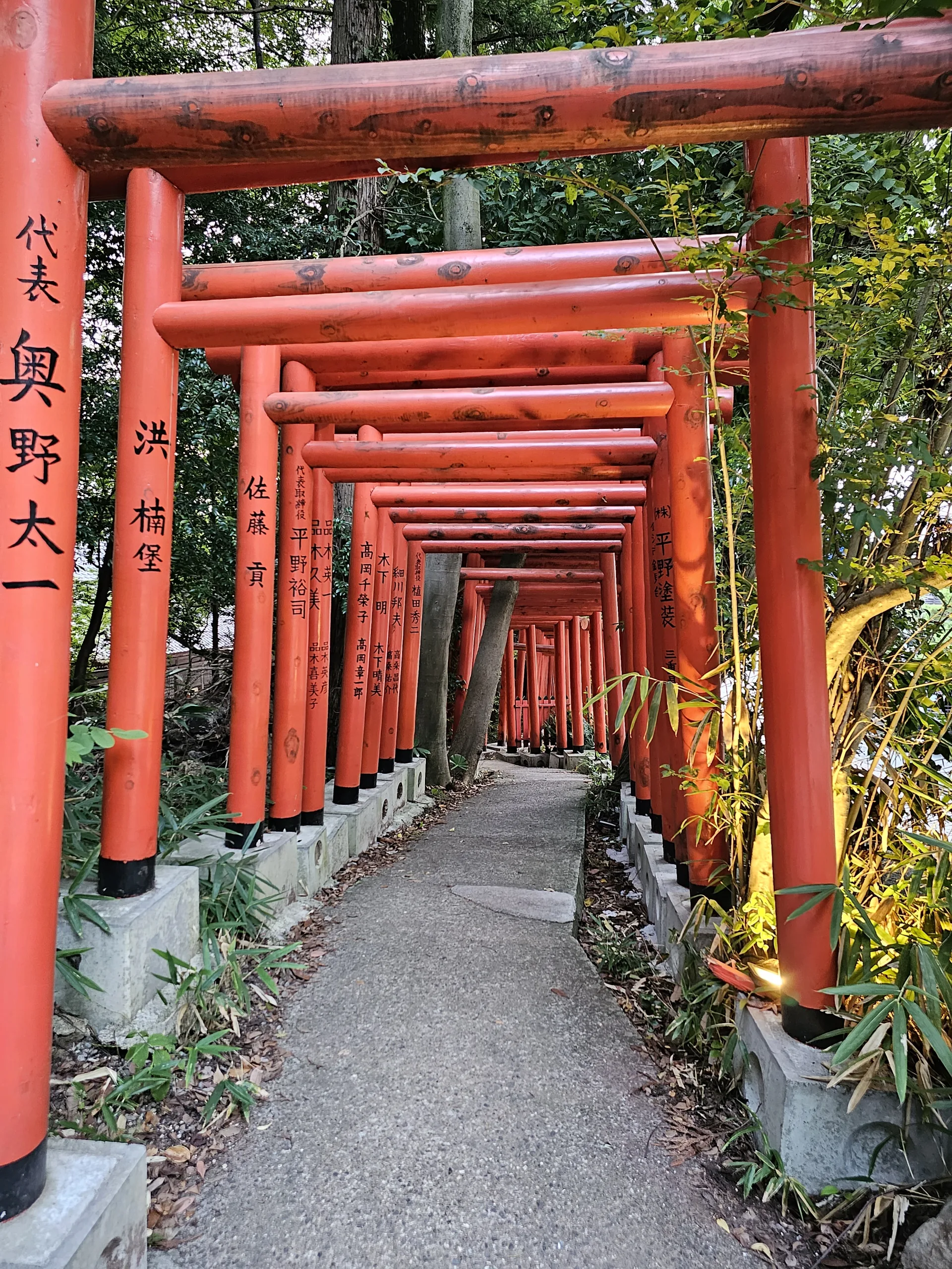 Het blijft genieten in Japan - Bart en Fabian op Reis